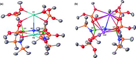 Molecular Structures Of A Download Scientific Diagram