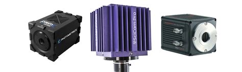 Cameras For Fluorescence Imaging A Comparative Guide