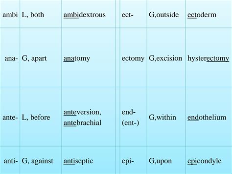 Solution Anatomy Dictionary Studypool