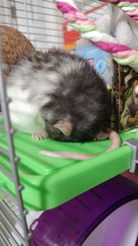 Fiona In Orb Status Second Pic Is Her Catching Me Take Pictures Lol