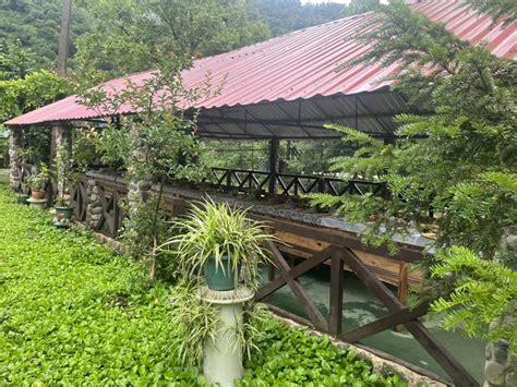 საოჯახო სამზარეულო მაჭახელა Visitajara