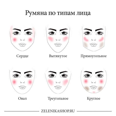 Как наносить румяна на овальное лицо и какие их виды использовать
