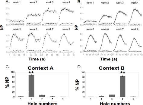 Figure 2 From Dynamics Of Spatio Temporal Binding In Rats Semantic Scholar