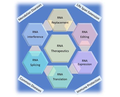 Defining Electromagnetic Hypersensitivity Ehs