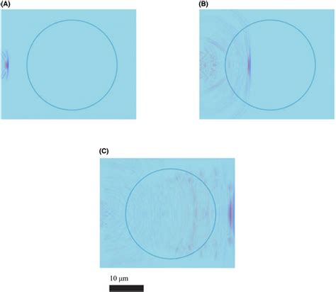 The Fdtd Analysis With A 1300 μm² Simulation Area For Traditional Download Scientific Diagram