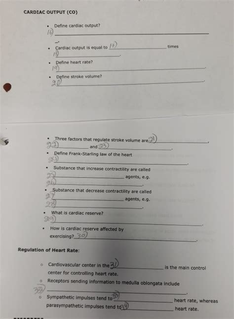 Solved CARDIAC OUTPUT CO Define Cardiac Output Chegg Com
