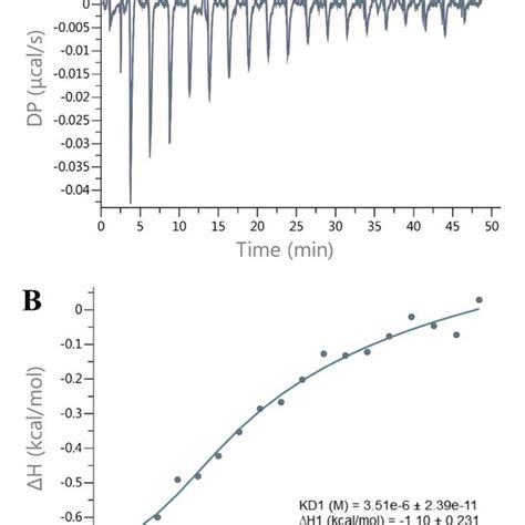 Itc Titration Curves A And Binding Isotherm B Of Prmt1 Binding With Download Scientific
