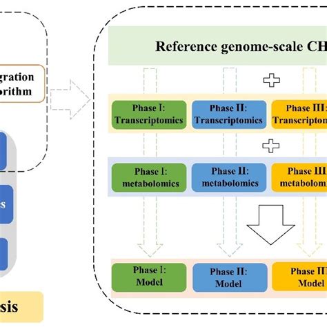 the framework to formulate different genome scale metabolic models by