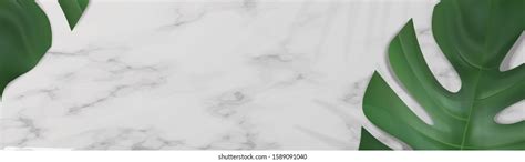 Top View Empty Space Header White Stock Vector Royalty Free 1589091040 Shutterstock