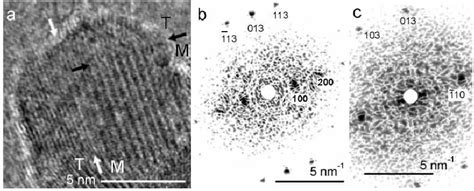 A Composite Particle Showing A Core Shell Relationship Between The Download Scientific