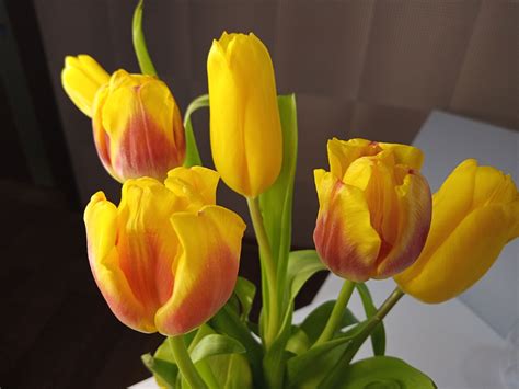 Огляд смартфону Tecno Spark 7 технічні характеристики камера та чи варто купувати