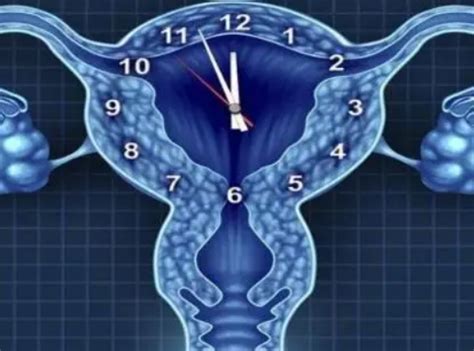 试管婴儿 不孕不育 备孕怀孕 好孕无忧百科