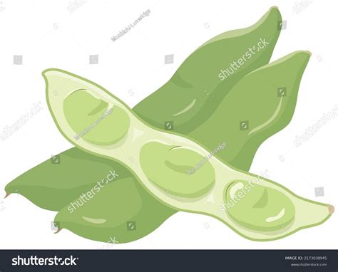 Broad Over 12 733 Royalty Free Licensable Stock Vectors And Vector Art