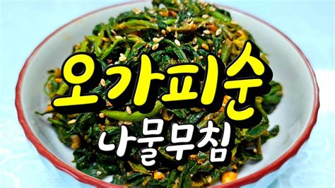 몸에좋은산채 오가피순나물 맛있게 먹는방법 겨울에 더 맛있어요 오가피순나물무침 Youtube