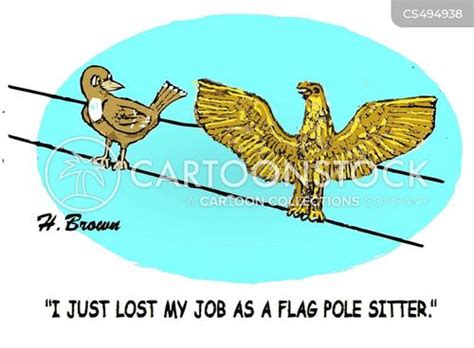 Qa Tester Roles And Responsibilities