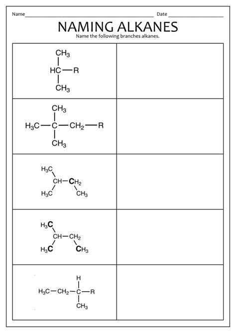 Functional Group Practice Worksheet Practices Worksheets Functional Group Digestive System