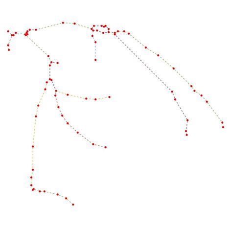 results of the vessel skeleton reduction using the download scientific diagram