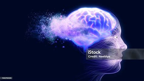 정신 건강 기억 상실 사물 망각 퇴행성 질환 뇌 문제 얼굴과 뇌 측면보기 정신 분열증에 대한 스톡 사진 및 기타 이미지 정신 분열증 치매 회복 Istock