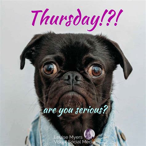 Funny Words For Thursday