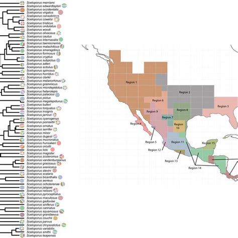Panel A Describes The Bioregions Identified By The Infomap Clustering