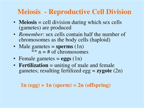 Ppt Meiosis Reproductive Cell Division Powerpoint Presentation