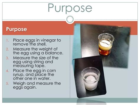 Egg Osmosis Experiment Ppt