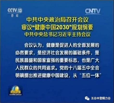 健康中国2030纲要 健康中2030规划纲要 健康中2030 第3页 大山谷图库