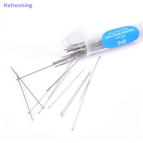 🔥refreshing 100 Pcs Insect Pins Specimen Needle Stainless Steel School