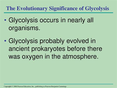 Cellular Respiration Harvesting Chemical Energy Ppt Download
