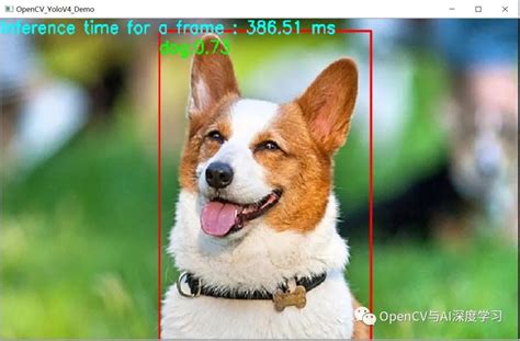 opencv dnn模块官方教程 二 yolov4目标检测实例 cv dnn nmsboxes csdn博客