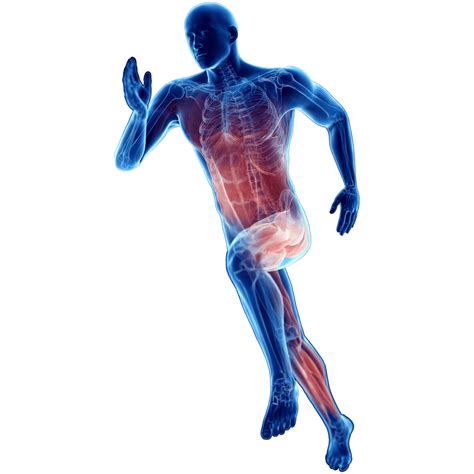 What Is Micronization Venjenz