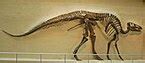 Dinosaur Wikipedia