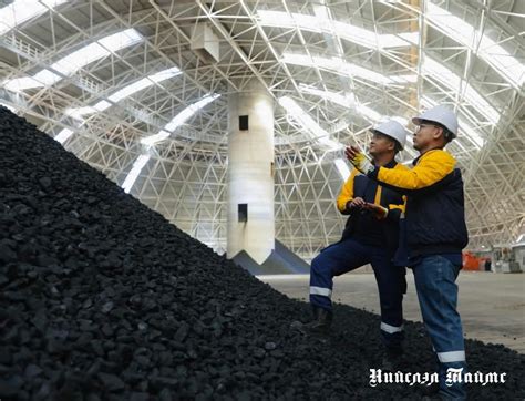 Эрдэнэс таван толгой 108 8 мянган тонн баяжуулсан коксжих нүүрс арилжжээ Niislel Times