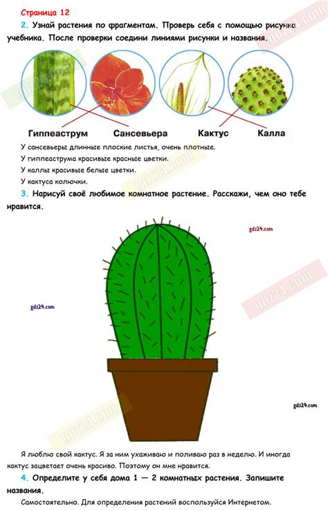 Ответы к заданиям на 12 странице рабочей тетради по окружающему миру Плешаков за 1 класс 1 часть