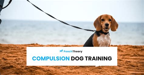 Bubble Theory Dog Training Complete Guide Poochtheory