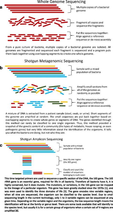 Sequencing Technologies A Whole Genome Sequencing B Metagenomic Download Scientific Diagram