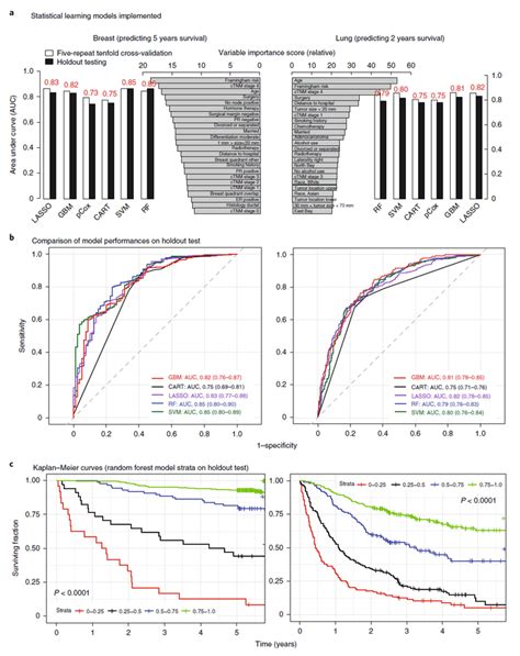 Nature Ai整合电子健康记录 Ehr 预测癌症 知乎