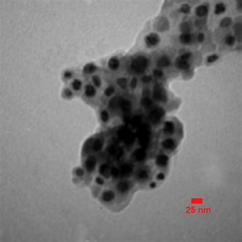 teM image and typical core shell structure of γ Fe 2 o 3 sio 2 FA MNPs Download Scientific