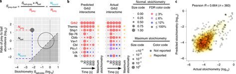 Ab Initio Prediction Of The Composition And Stoichiometry Of Novel