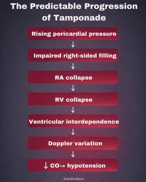 Cardiac Tamponade 2d Echo Doppler And The Hemodynamic Cascade