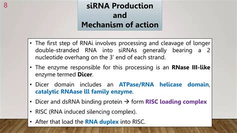 Sirna And Mirna Pptx