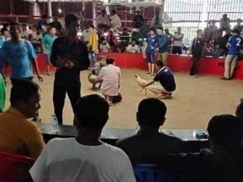 មេ ល្បែងស៊ីសង ឈ្មោះ លឹម និង ឈ្មោះ វ៉ា បើក ល្បែងស៊ីសង ប្រចាំ កាស៊ីណូ គ្មាន ស្លាក យីហោ ពីមុន