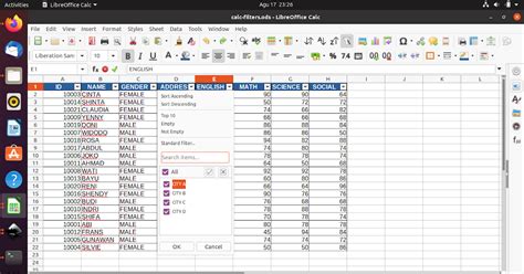 LibreOffice Calc Create And Use Filters