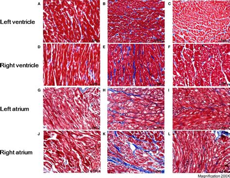 Biologia Matematica Clase 14