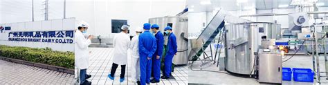 西林瓶理瓶机LC XLPLP 全自动理瓶机型号 郑州力创自动化设备公司