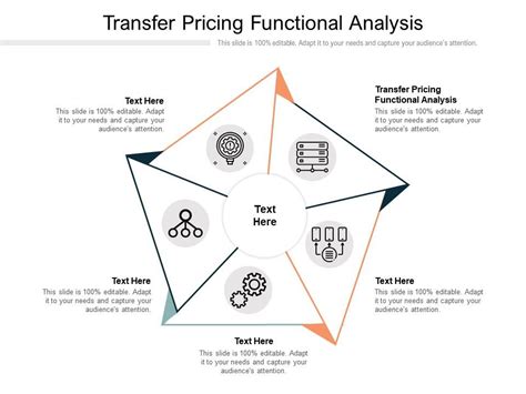 Transfer Pricing Functional Analysis Ppt Powerpoint Presentation Icon Format Ideas Cpb