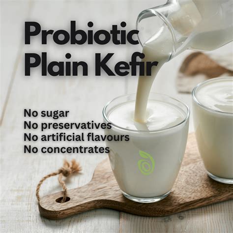 Organic Probiotic Kefir Plain 220 Ml Satva Farm
