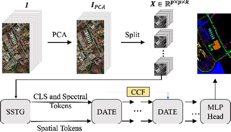 Figure 1 From Double Attention Transformer For Hyperspectral Image Classification Semantic Scholar