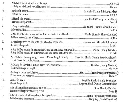 Classification Keys General Revision For Gcse