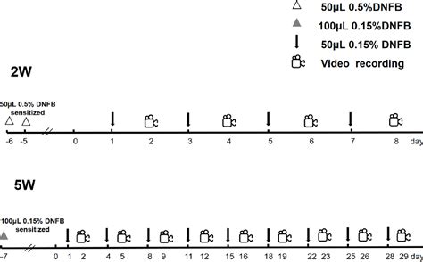 Figure 1 From Comparison And Evaluation Of 24 Dinitrofluorobenzene